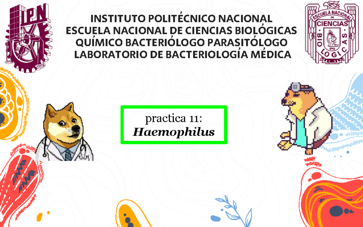 Haemophilus - ####### INSTITUTO POLITÉCNICO NACIONAL ####### ESCUELA ...