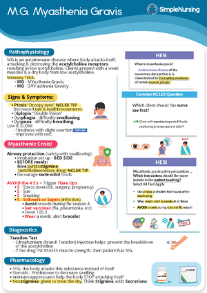Lab excersise 44-Heart Anatomy - Dr. L Martinez BIO 246 Anatomy and ...
