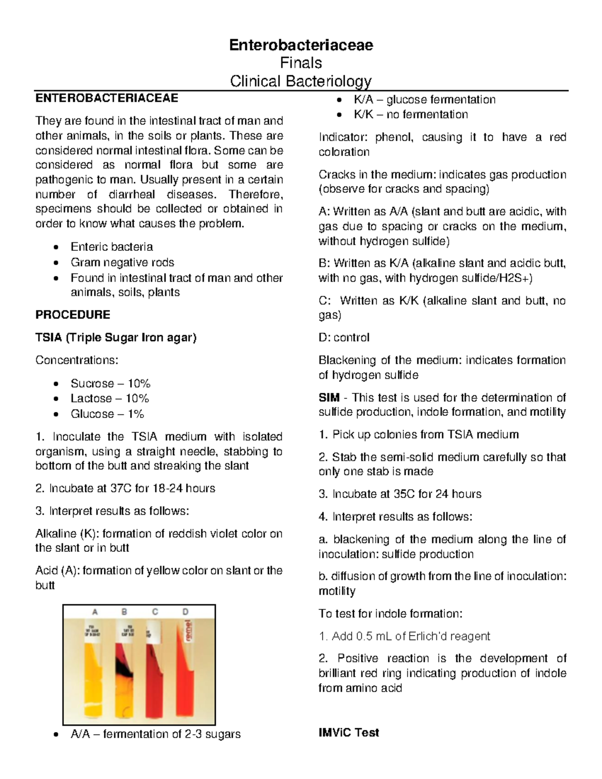 Enterobacteriaceae Clinical Bacteriology - Enterobacteriaceae Finals ...