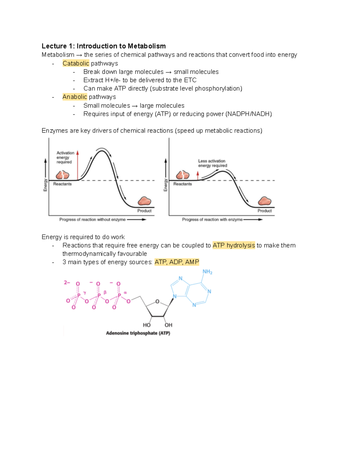 BCMB2001 Notes - lecture 1 note - Lecture 1: Introduction to Metabolism ...