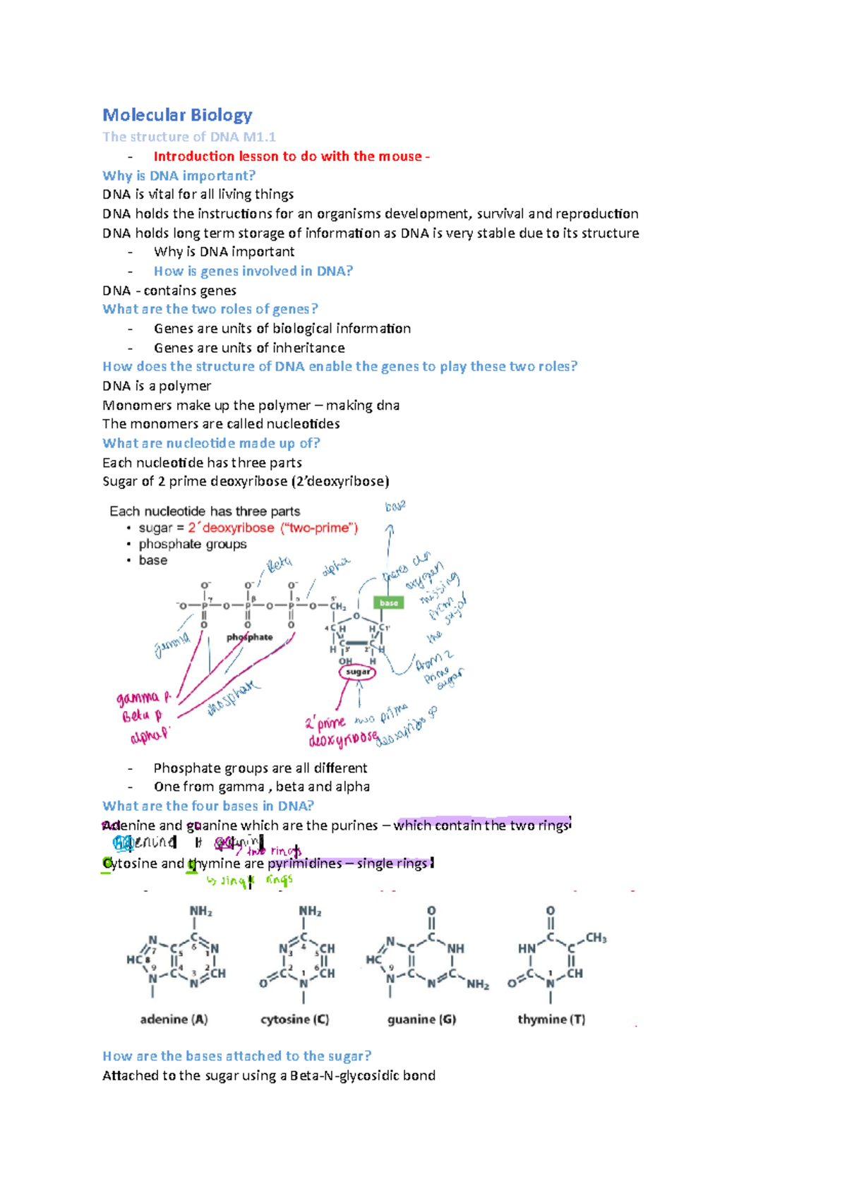 Molecular Biology finals - Molecular Biology The structure of DNA M1 ...
