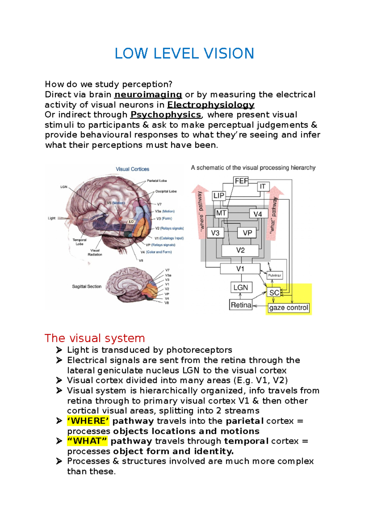 LOW Level Vision - Lecture notes 2 - LOW LEVEL VISION How do we study ...