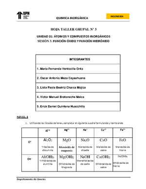 GUÍA Práctica Nº01 Protocolo DE Seguridad Y Primeros Auxilios EN EL Laboratorio - Química ...