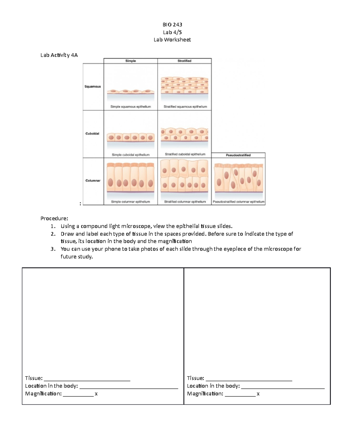 BIO 243 Lab 4-5 Student Handout - BIO 243 Lab 4/ Lab Worksheet Lab ...