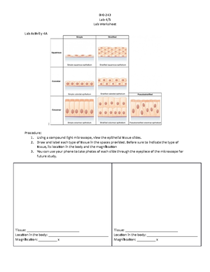 Chapter 2 human anat - CHAPTER 2 Chemistry and physiological reactions ...