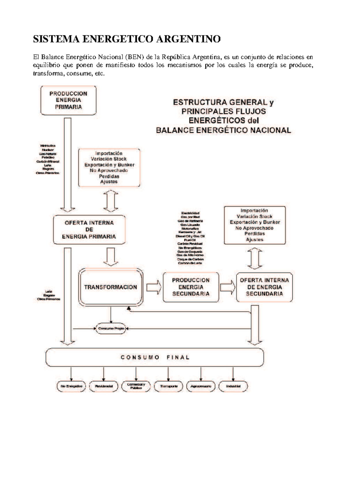 Apunte Argentina Balance Energético - SISTEMA ENERGETICO ARGENTINO El ...