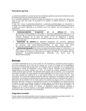 Examen 6 - EXAMEN 6 Correcta: los componentes del sistema traduccional ...