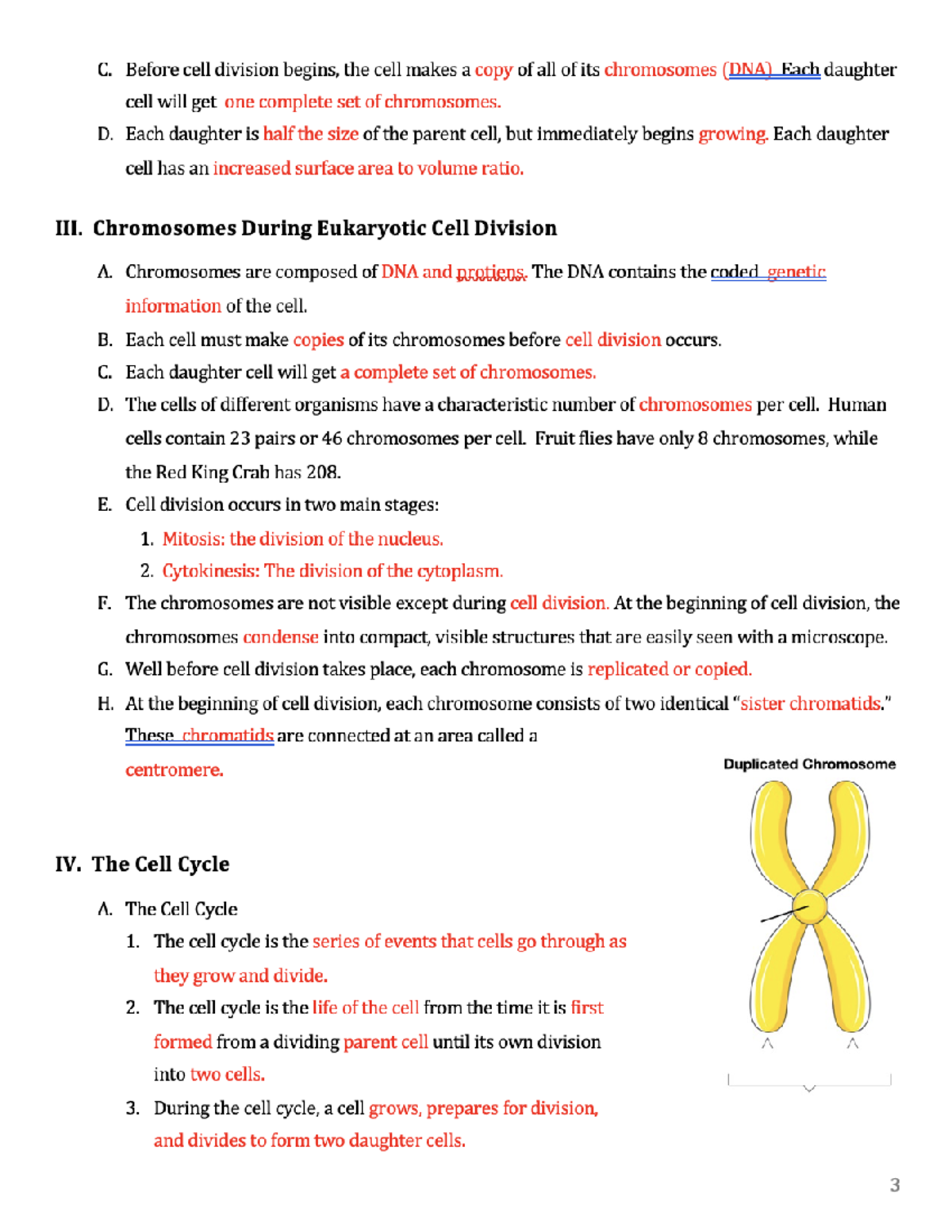 Cell Growth and Division - Studocu