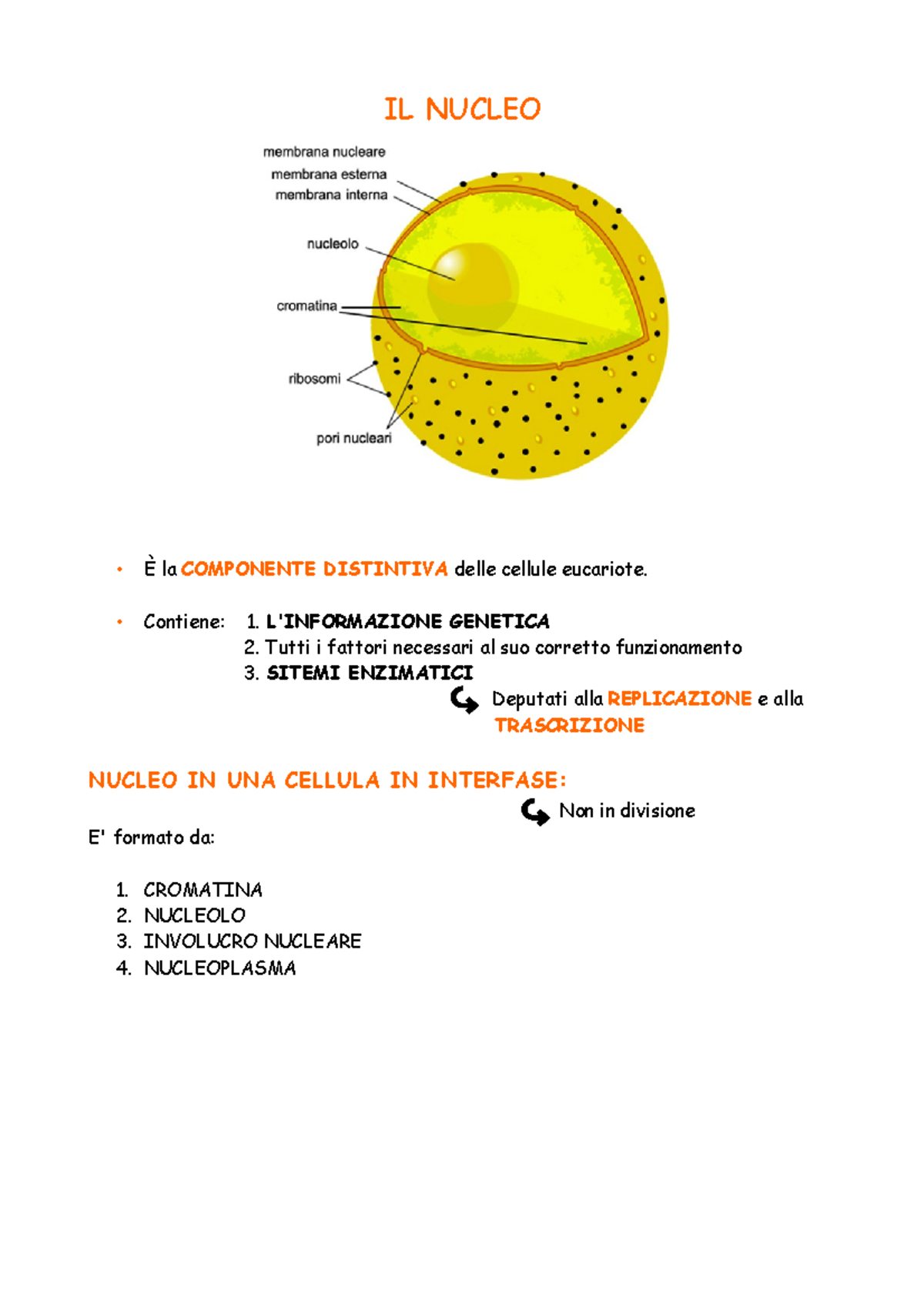 Cellula 8 - Informazioni generali - Biologia Applicata - Uniecampus ...