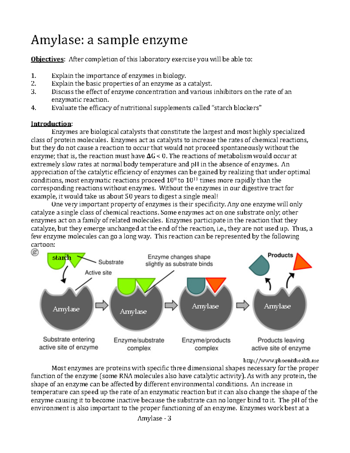 Amylase lab salivary - Amylase: a sample enzyme Objectives: After ...