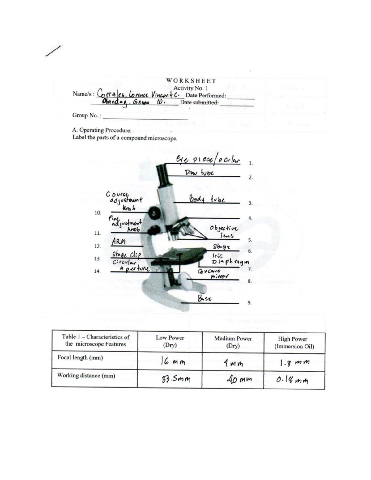 Act1. Worksheet - Microscope - BS Biology - Studocu
