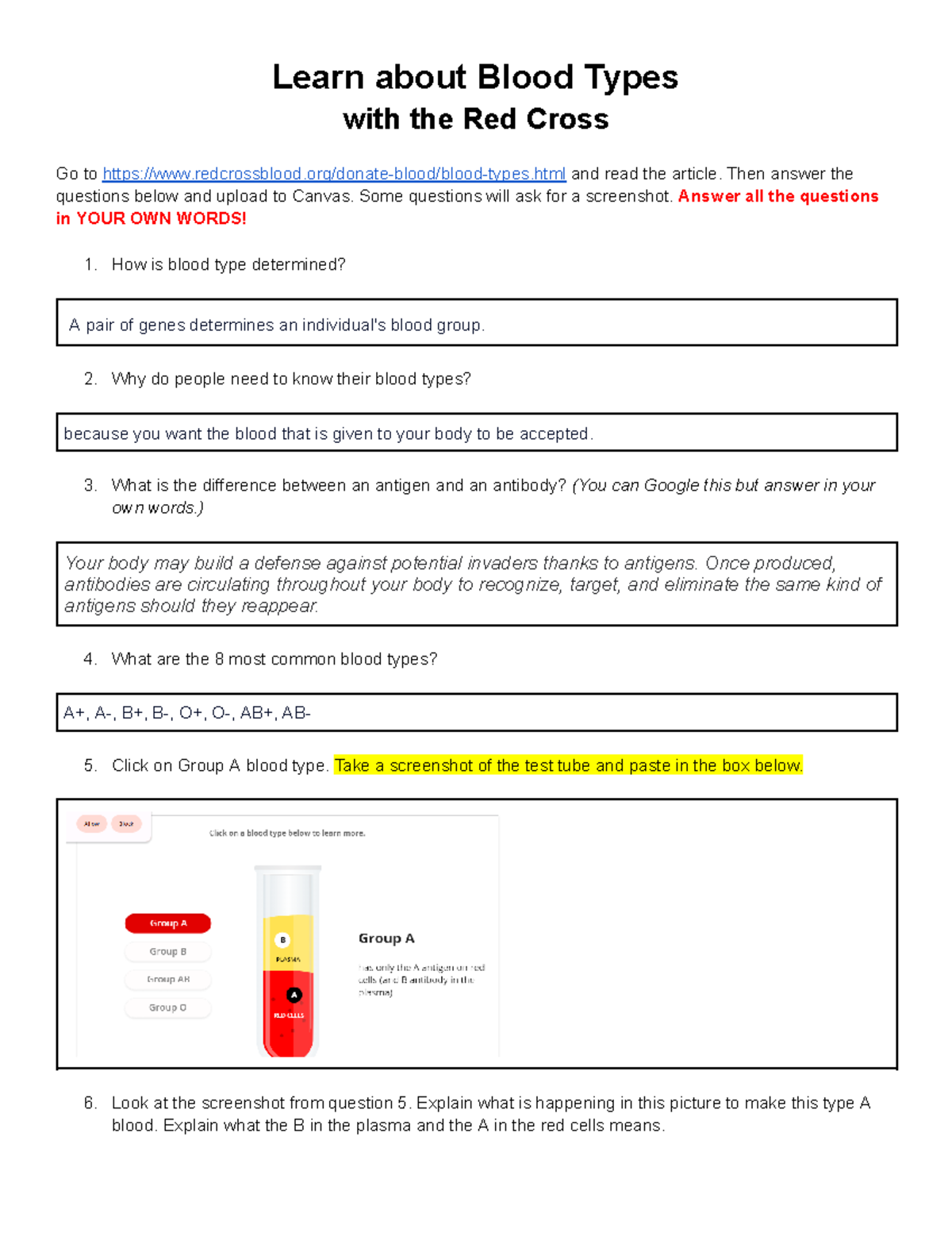 Blood Types with the Red Cross - Learn about Blood Types with the Red ...