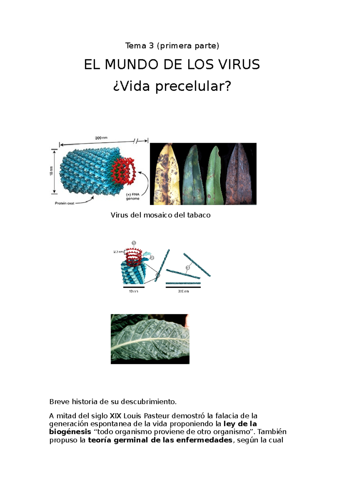 Tema3a Virus - Tema 3 (primera parte) EL MUNDO DE LOS VIRUS ¿Vida ...