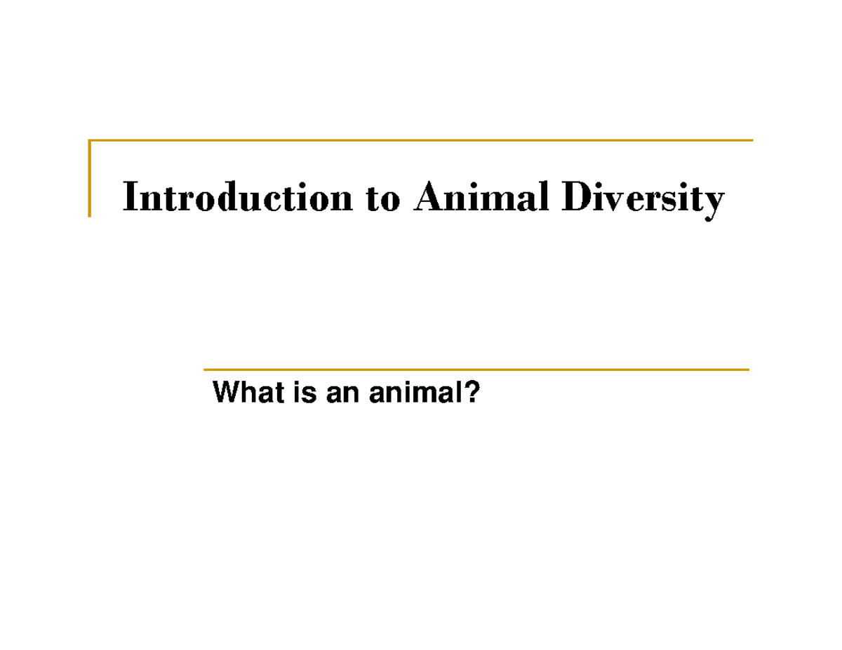 Animal Diversity Lecture 1 - What is an animal? What is an animal ...