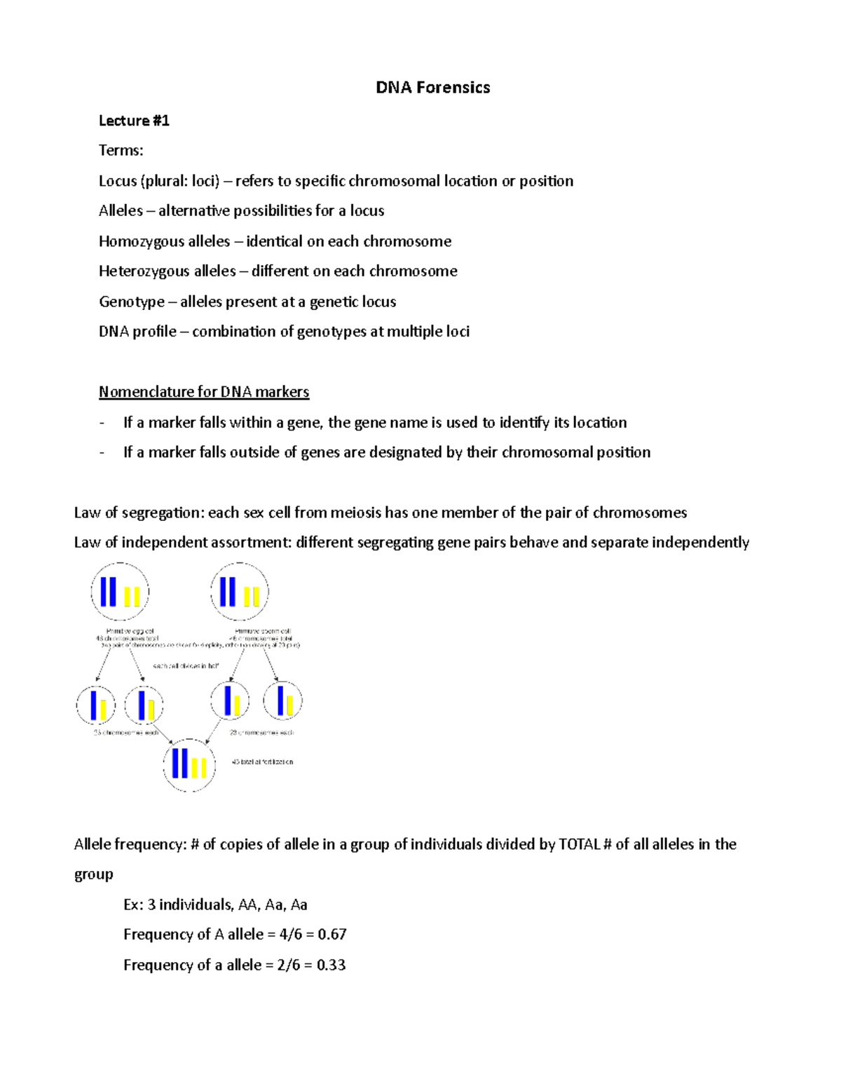 436-DNA Forensics - Bill's stuff - DNA Forensics Lecture # Terms: Locus ...