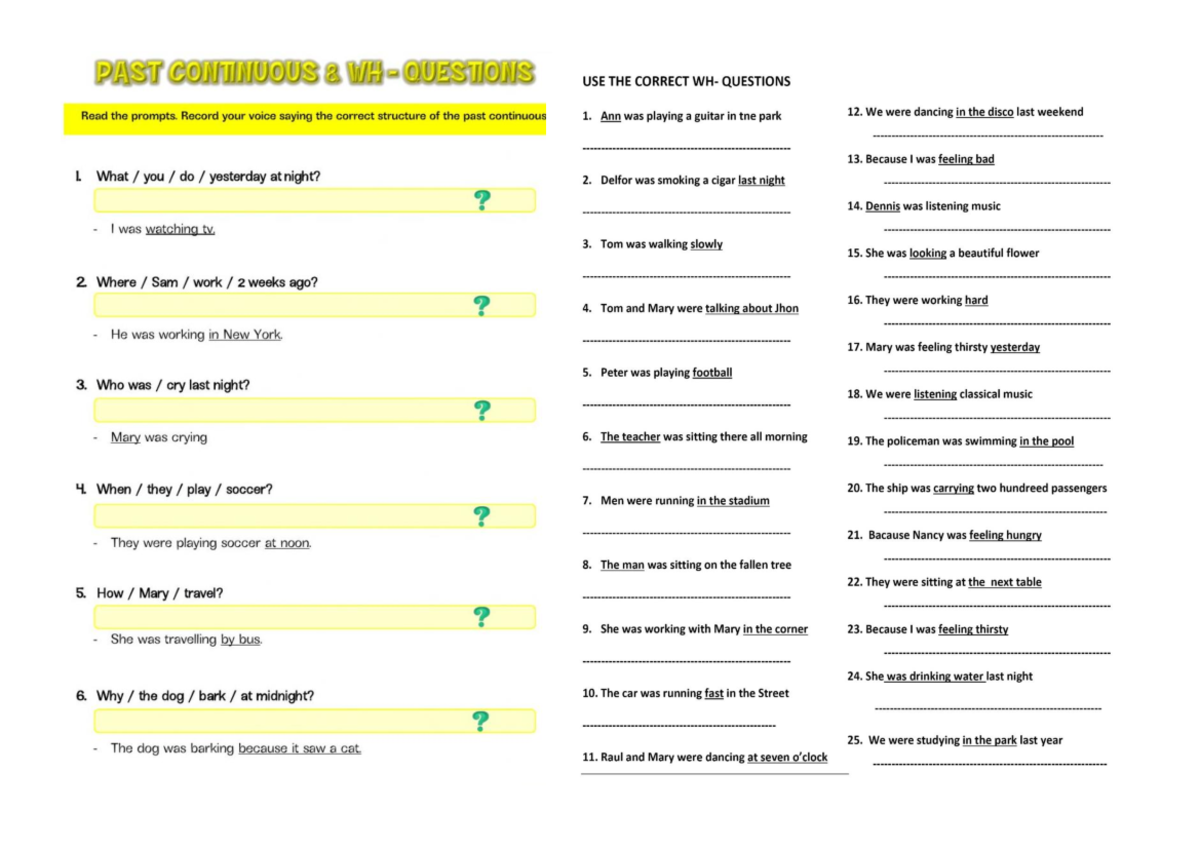 Past continuous questions - PAST CONTINUOUS 8 USE THE CORRECT QUESTIONS ...