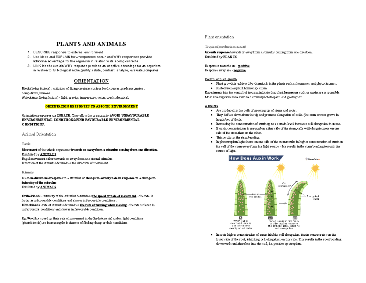 Plants and animals notes - PLANTS AND ANIMALS 1. DESCRIBE response to ...