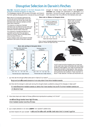 Kami Export - S224-Isaiah Bell - Biology Ch 34 Packet - Summary of Key ...