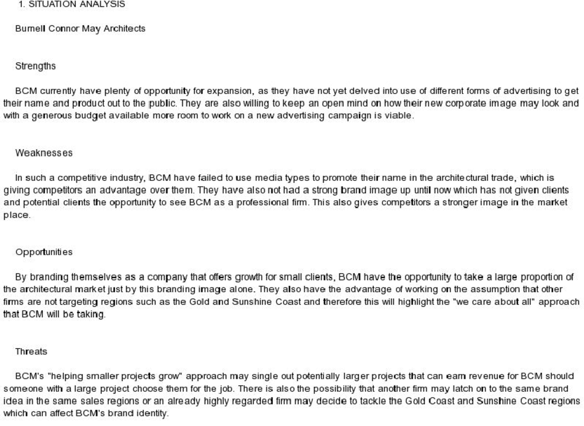 Sample Critical Essay - 1. SITUATION ANALYSIS Burnell Connor May ...