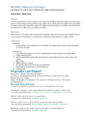 Assignment 1 Blood Vessels - BSC2086C: Anatomy & Physiology II ...