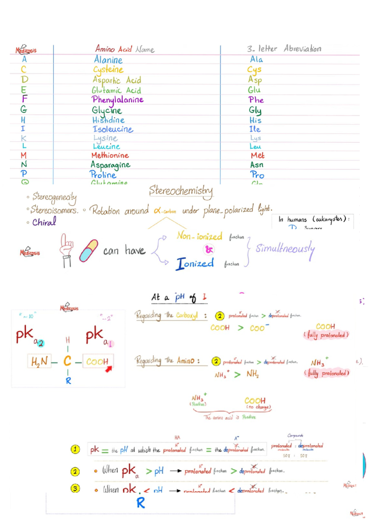 Biochemistry notes semester 1 - Medicosis Amino Acid Name 3. letter ...