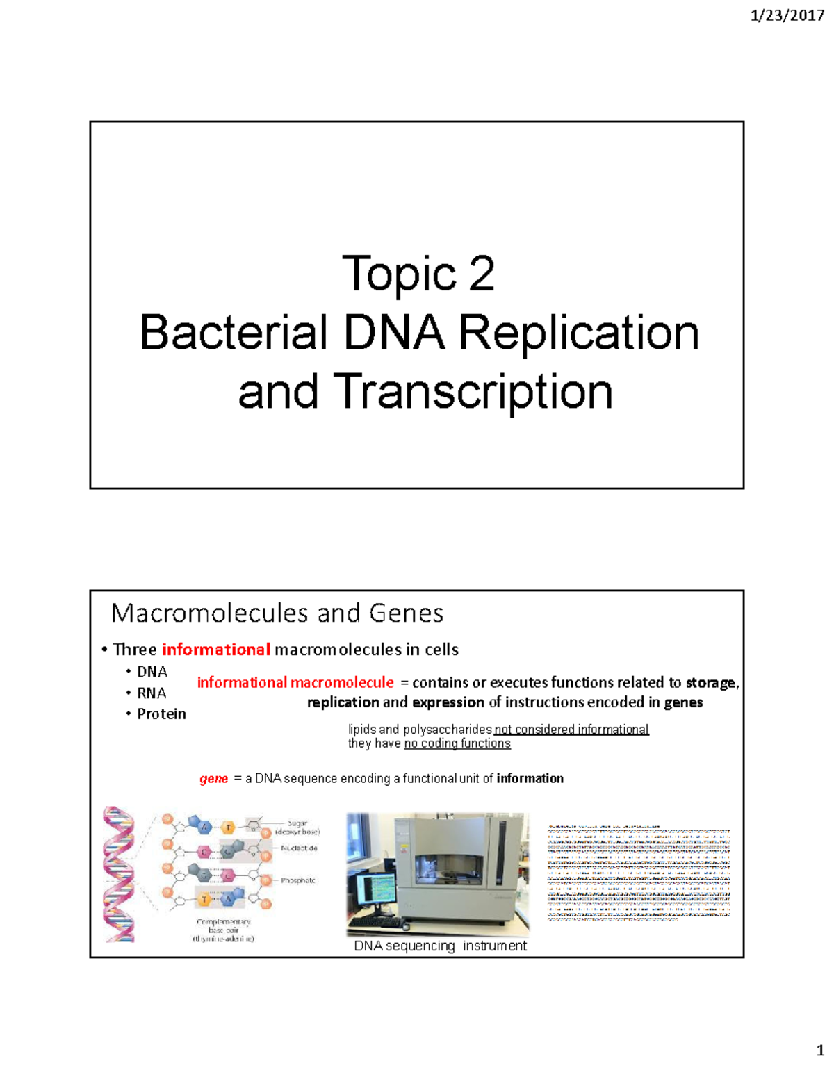 Topic 2 DNA replication transcription updated 3 - Warning: TT: undefined function: 32 Topic 2 ...