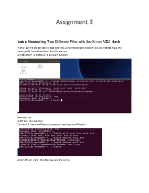 Assignment 5 - Introduction to Information Security - Assignment 5 Task ...