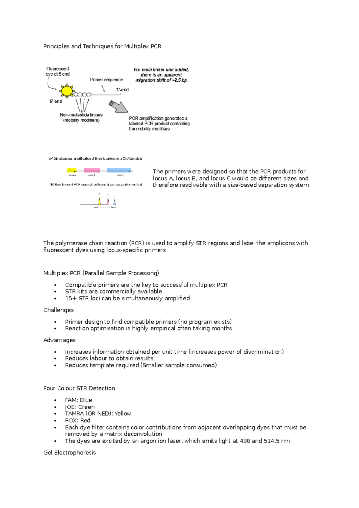 Multiple STR - Principles and Techniques for Multiplex PCR The primers ...