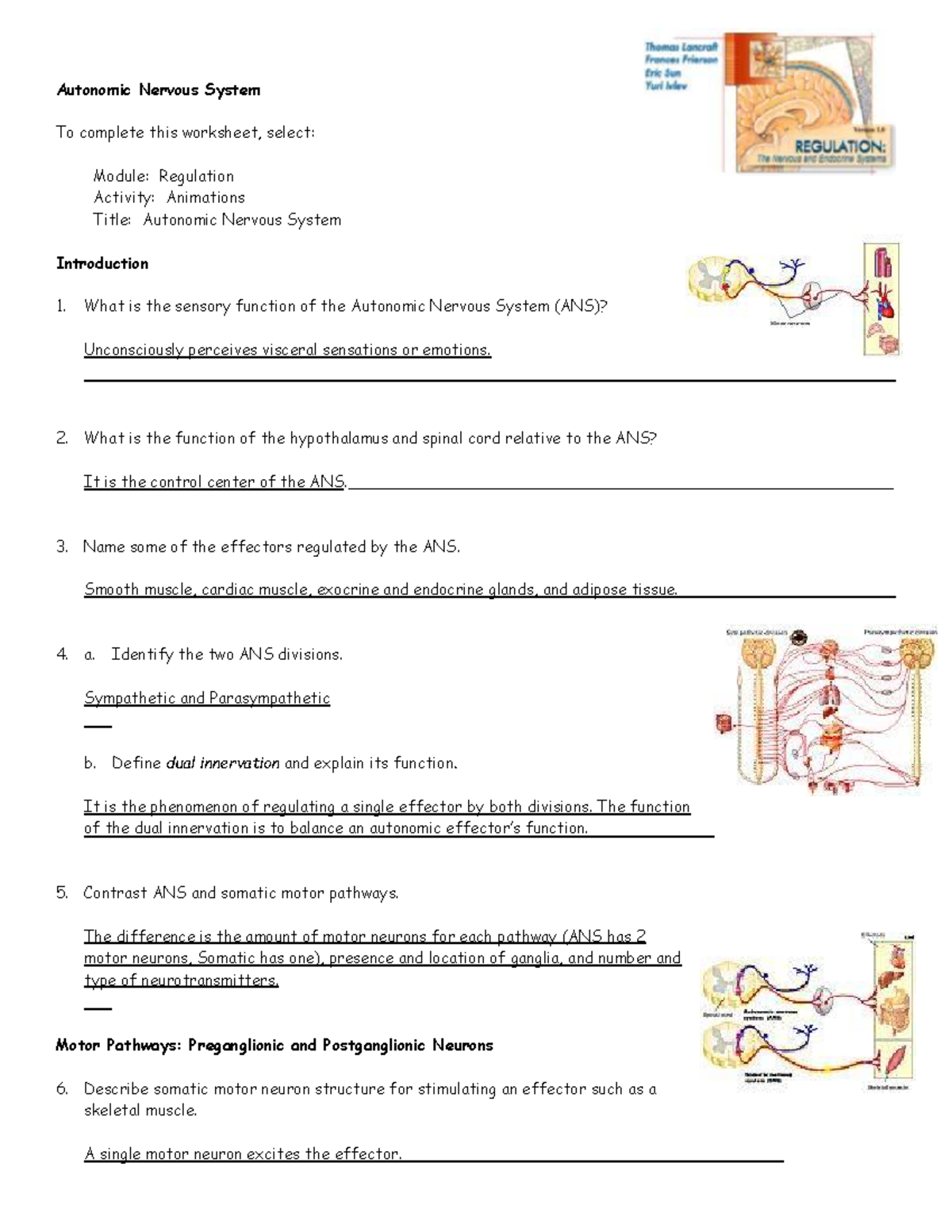 CH15+Autonomic+Nervous+System - Autonomic Nervous System To complete ...
