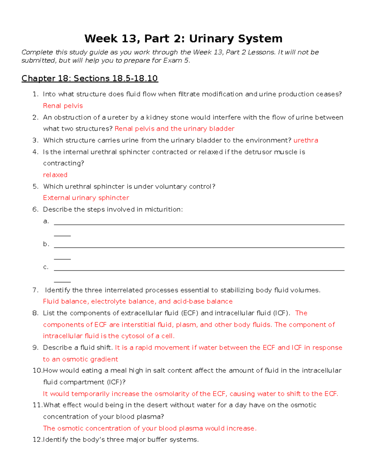 Week 13 Study Guide - Week 13, Part 2: Urinary System Complete this ...