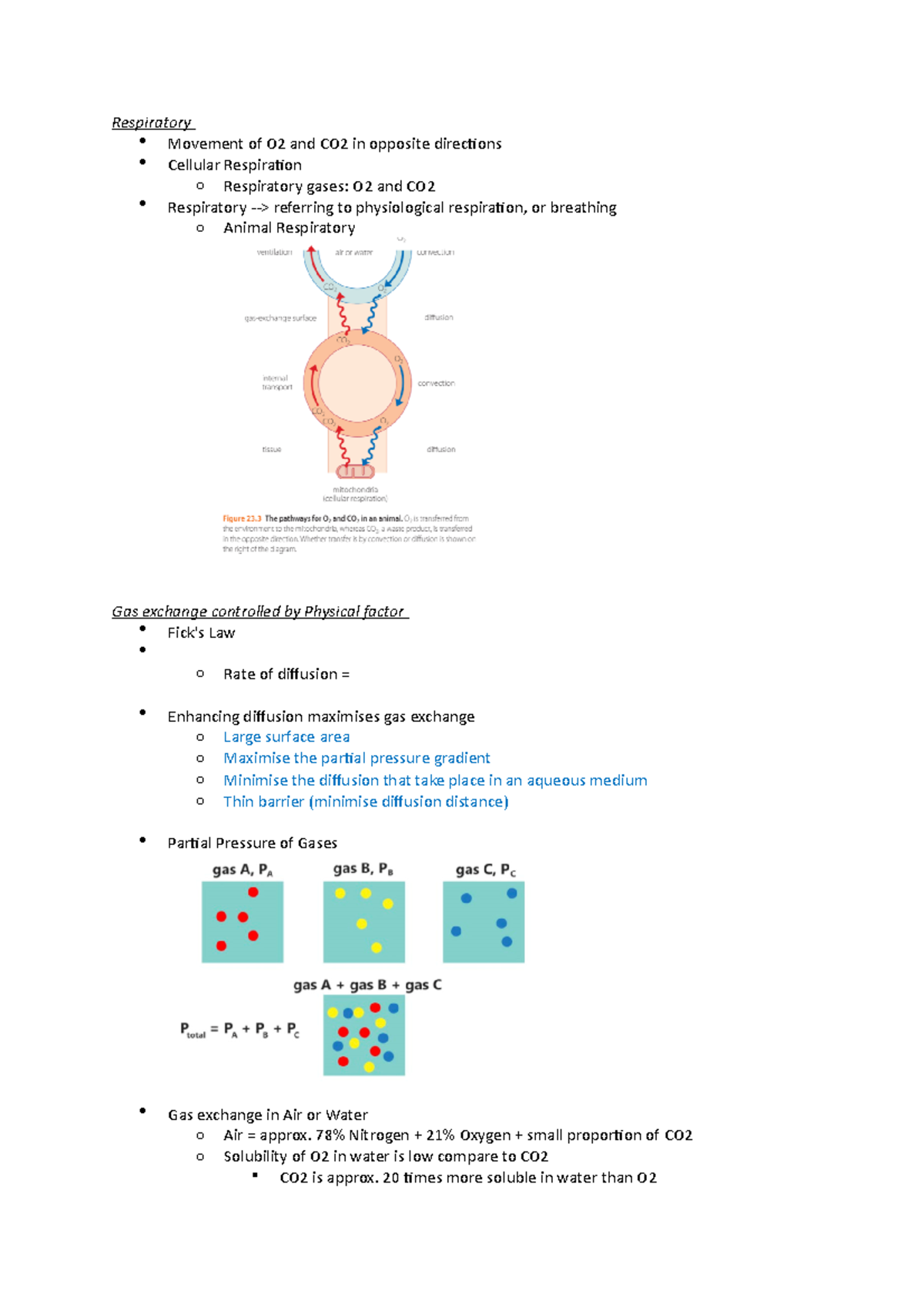 Respiratory summary - Respiratory Movement of O2 and CO2 in opposite ...