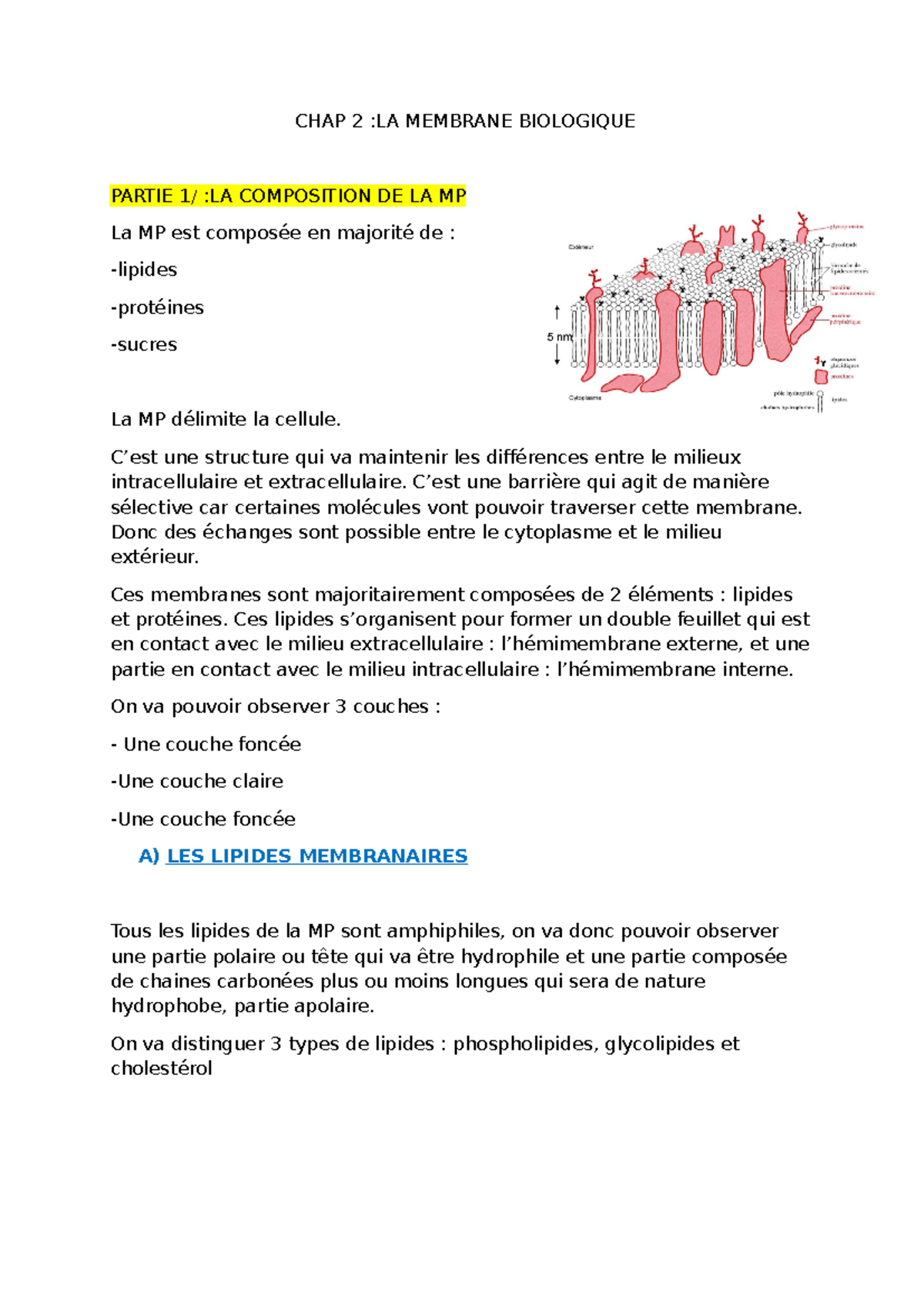 CHAP 2 La membrane plasmique fin - CHAP 2 :LA MEMBRANE BIOLOGIQUE PARTIE 1/ :LA COMPOSITION DE ...