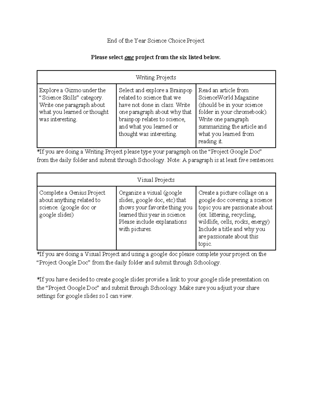 End of the Year Choice Project - End of the Year Science Choice Project ...