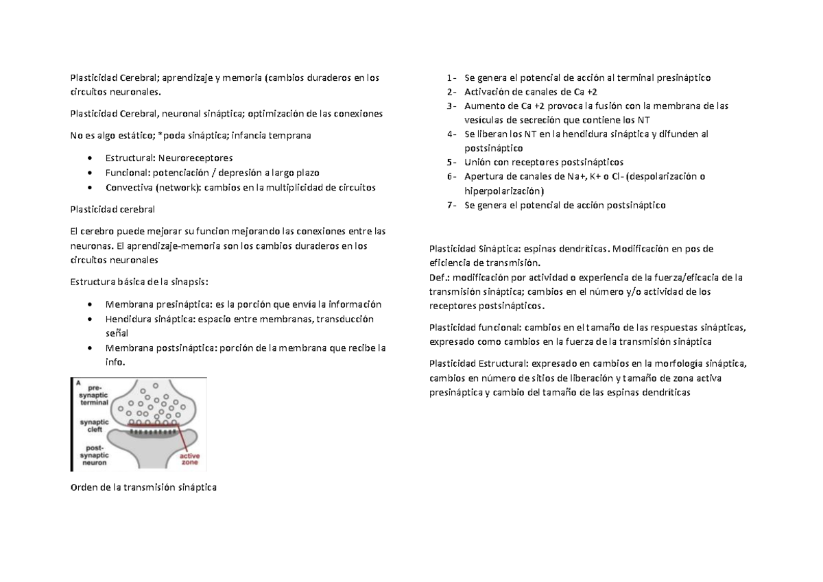 Plasticidad sinaptica - Plasticidad Cerebral; aprendizaje y memoria ...