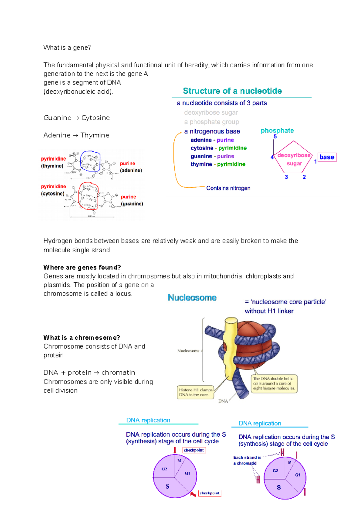 Week 1 Lecture 2 - Introduction to Genetics - What is a gene? The ...