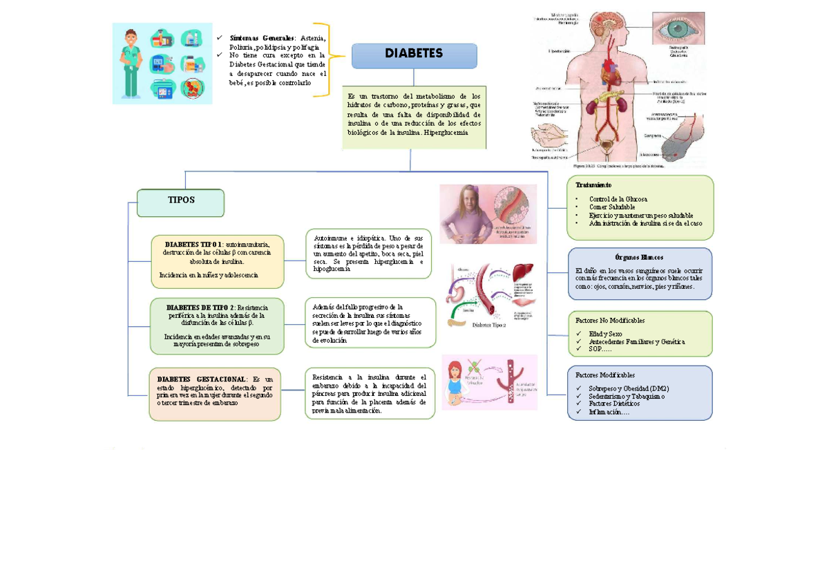 Diabetes-mapa-mental-apuntes-1 compress - DIABETES Es un trastorno del ...