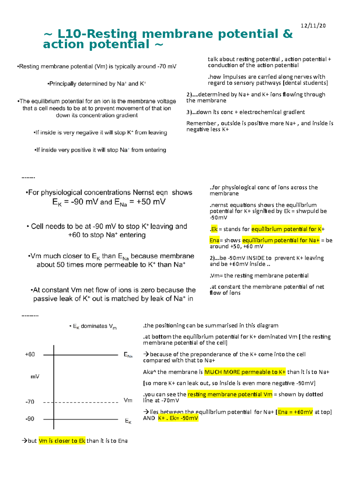 L10 Resting membrane potential and action potential - ~ L10-Resting membrane potential & action ...
