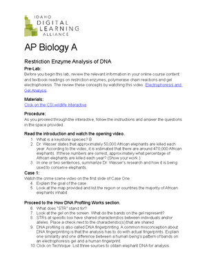 Prokaryotes Eukaryotes Project - AP Biology A Prokaryotes and ...