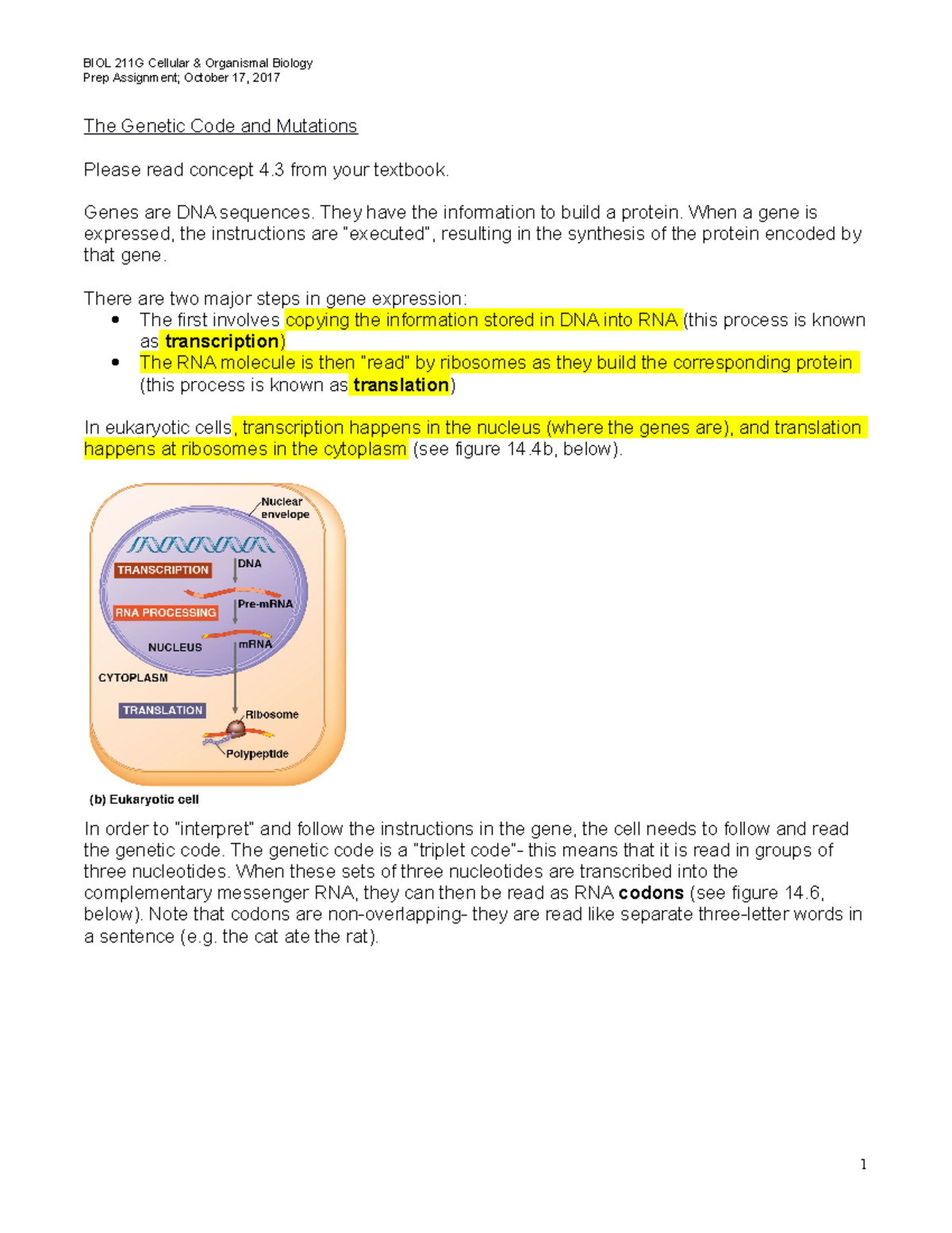 The Genetic Code and Mutations - Genes are DNA sequences. They have the ...