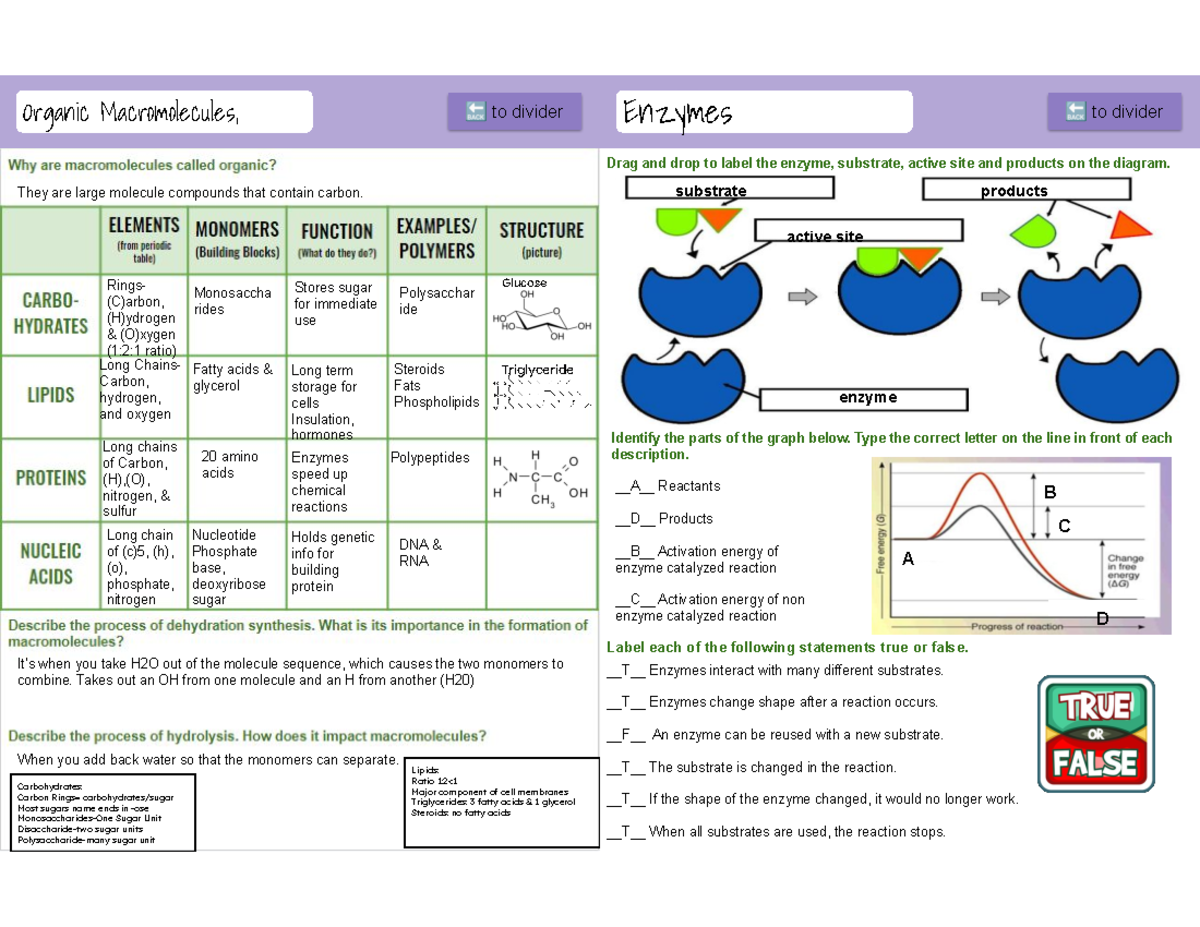 Andre Mcallister - Student Biology Digital INB UNIT 1 - Organic ...