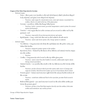 HEENT Anatomy Notes - EAR: External ear Cerumen impaction = buildup of ...