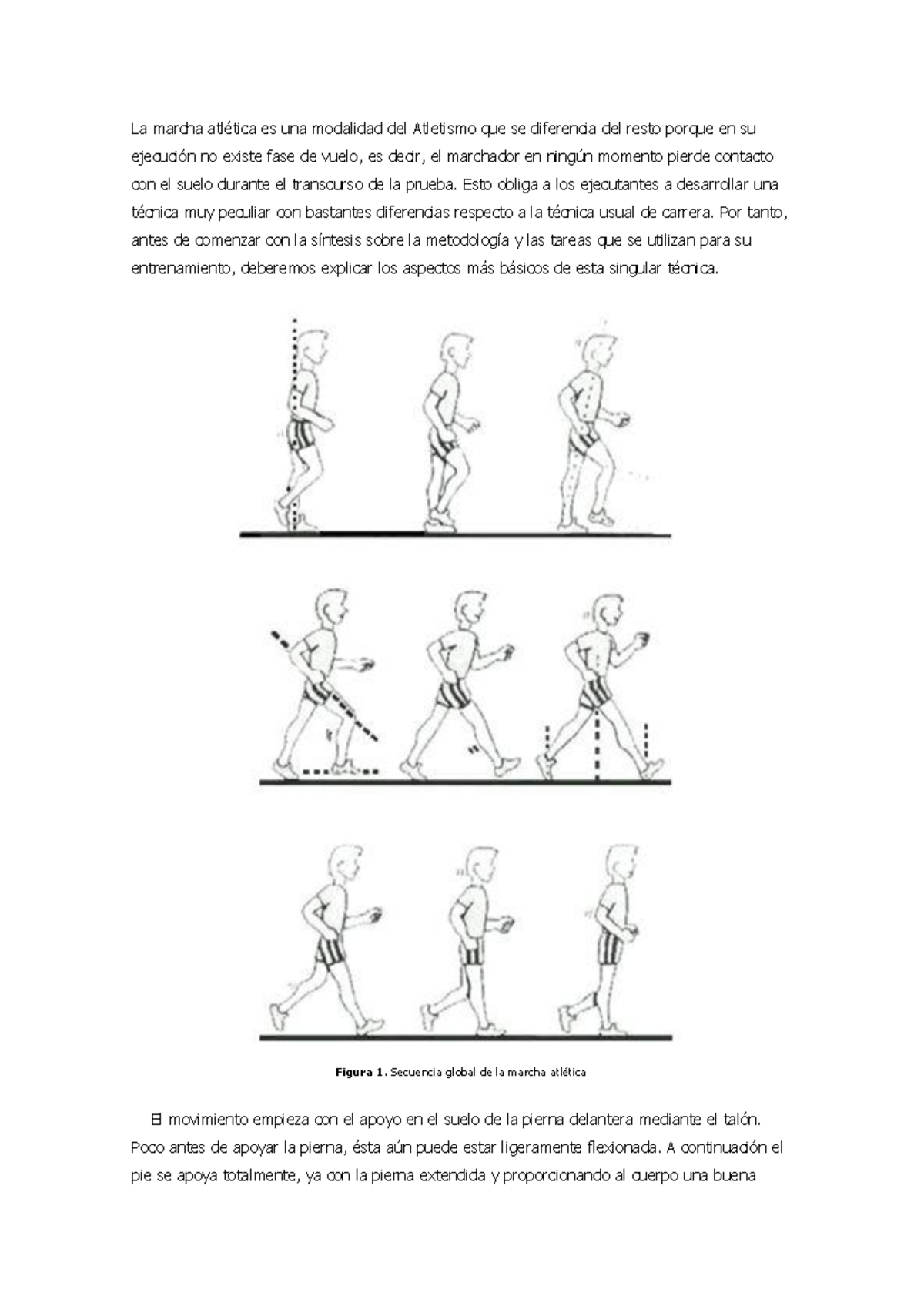 Atletismo la marcha - La marcha atlética es una modalidad del Atletismo ...