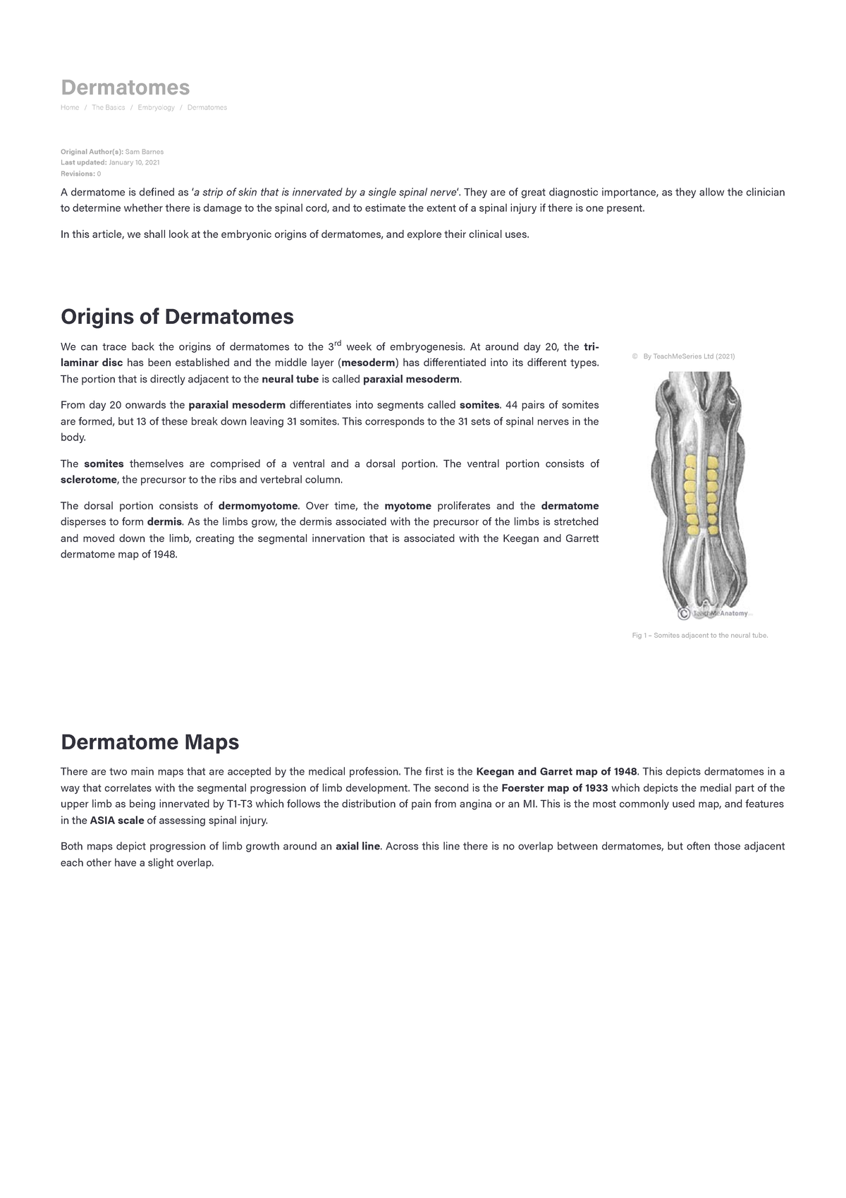 Dermatomes - Development - Maps - Teach Me Anatomy - DA6004 - KUL - Studocu