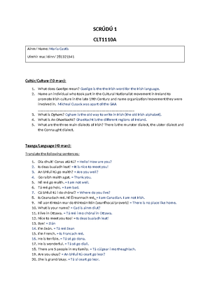 Irish notes - Irish language and culture - Bodhran some instrument ...