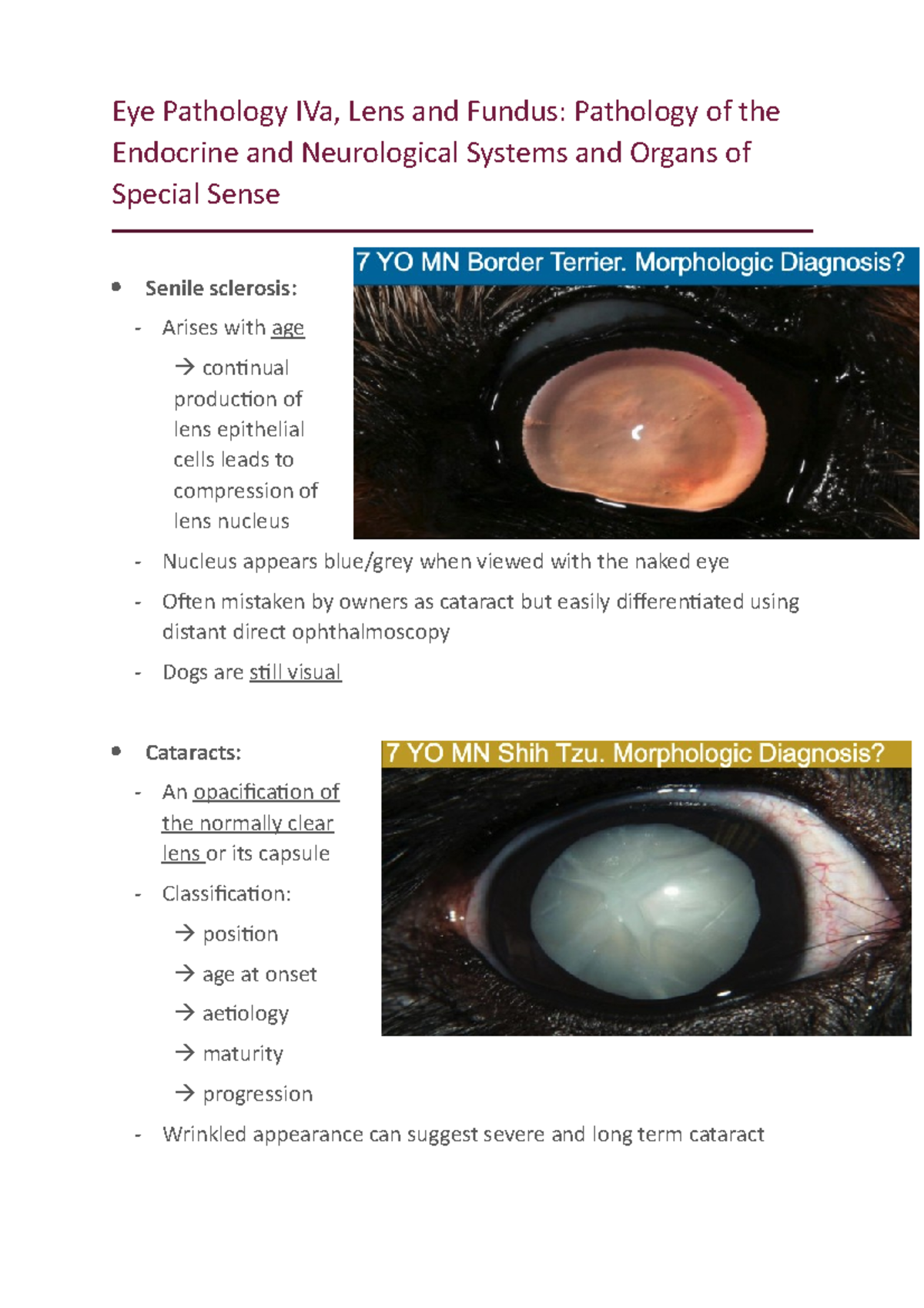 Eye Pathology IVa lens and fundus Pensoss - Eye Pathology IVa, Lens and ...