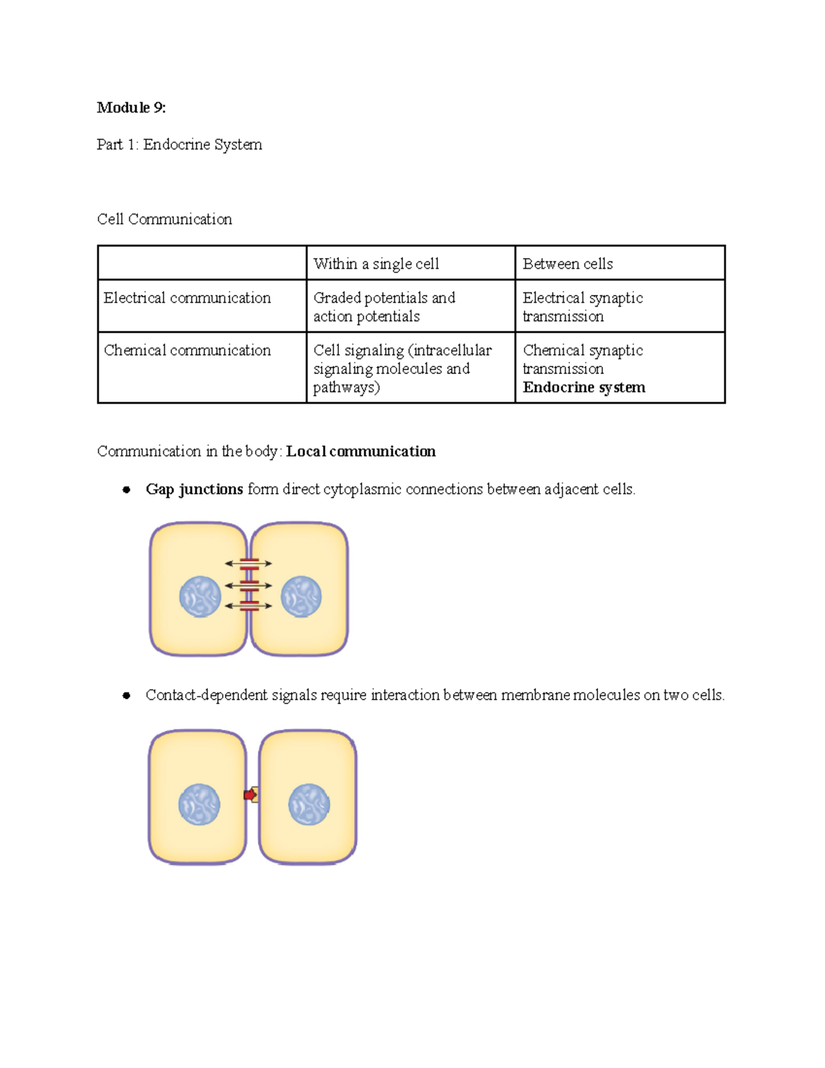 Module 9 Notes - Module 9: Part 1: Endocrine System Cell Communication ...