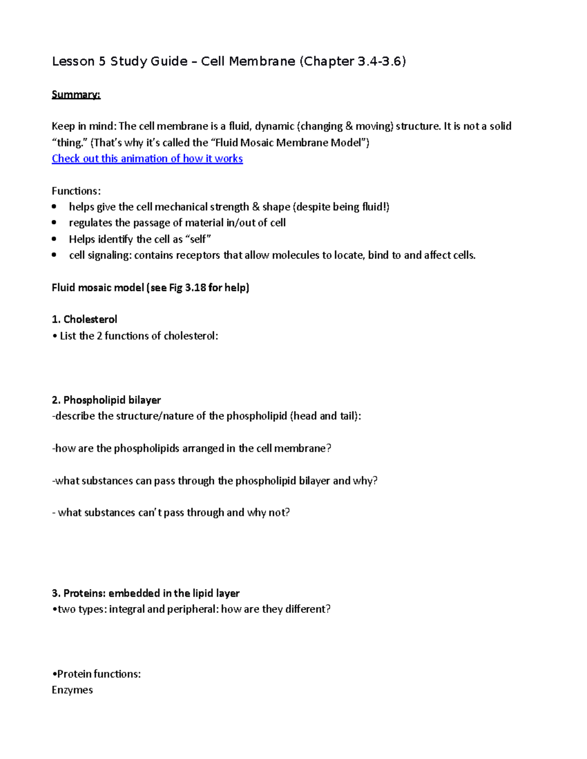 Lesson 5 Study Guide Cell Membrane - Lesson 5 Study Guide – Cell ...