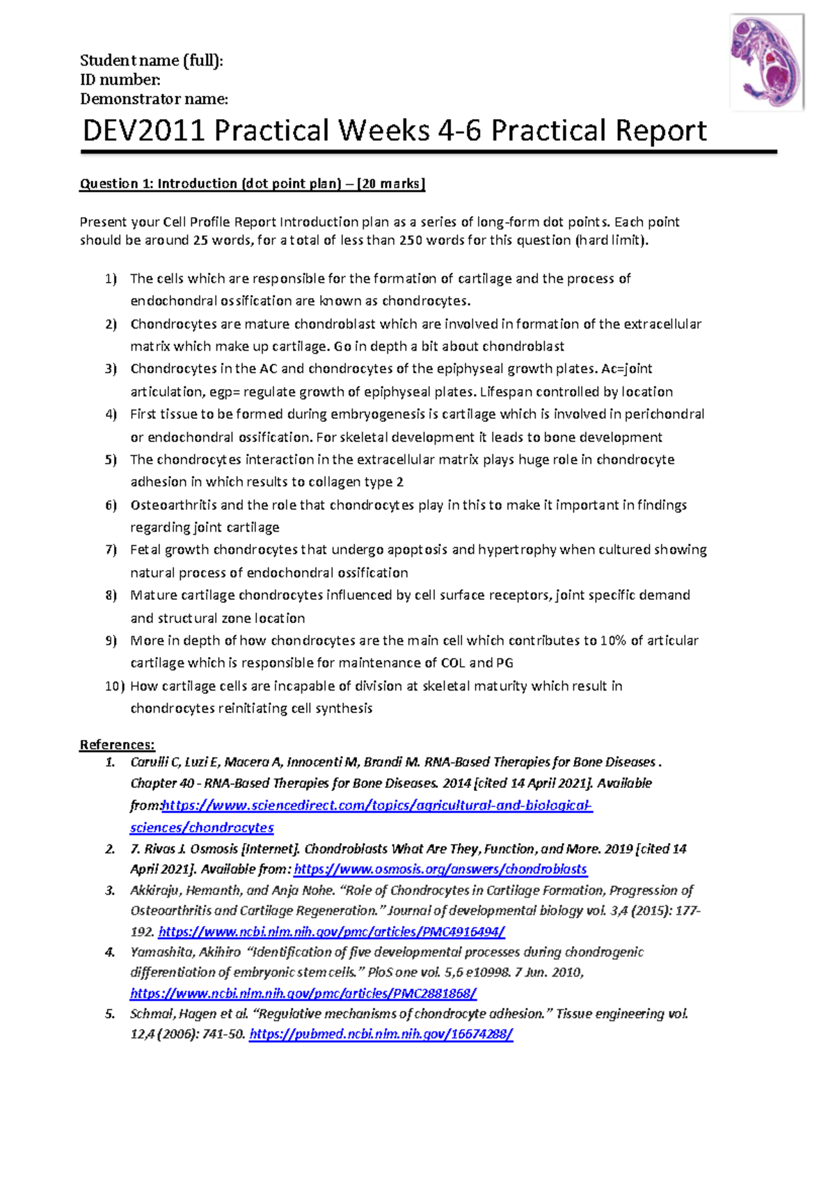 DEV2011 2021 Practical Weeks 4-6 Practical Report - FORM - Student name ...