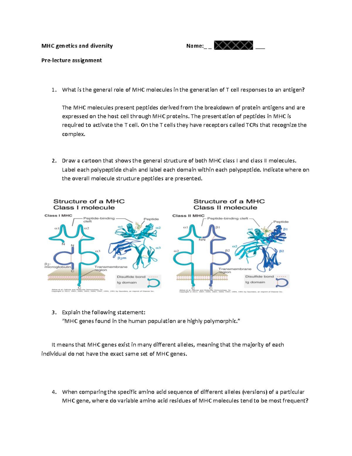 PL3 MHC genetics and diversity - MHC genetics and diversity Name ...
