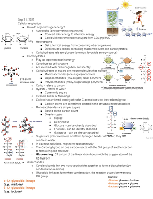 [Solved] Taxol is an anticancer drug extracted from the Pacific Yew ...